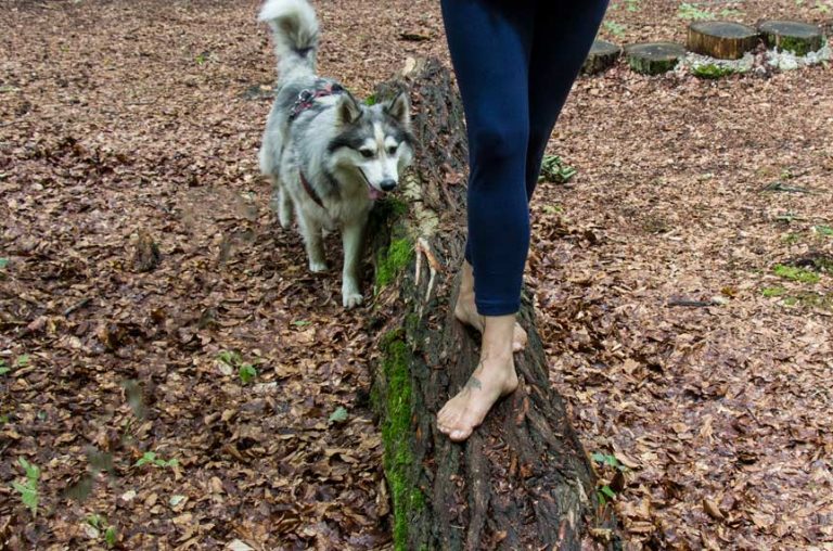 Barfusswandern ist Hip und Gesund - Landgasthof Zum Elsabauern